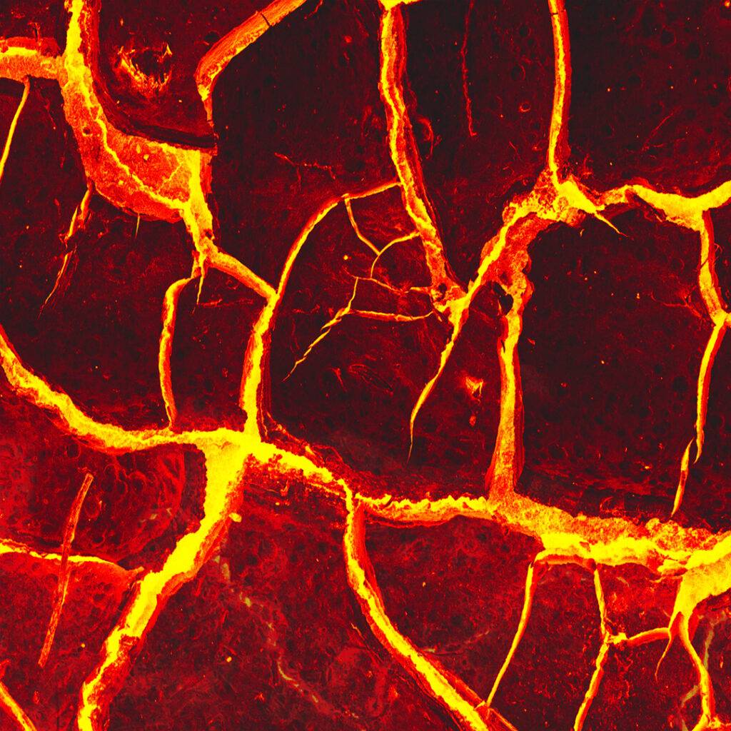 AP Wraps: Molten Magma Lava Vehicle Wrap - Energetic Style